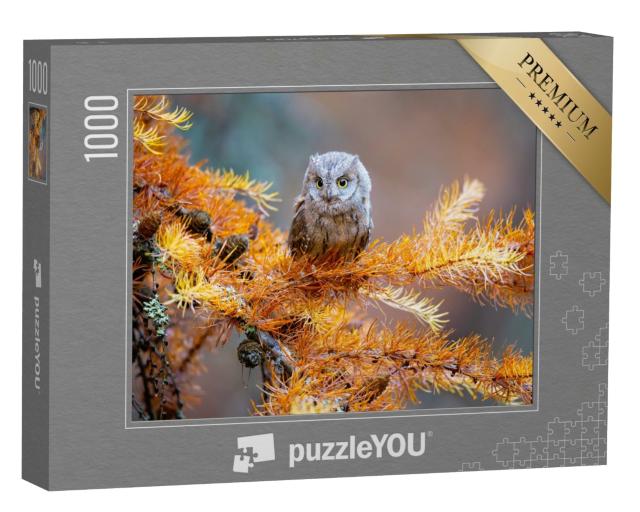 Vögel-Puzzles - 1000 Teile Puzzle | puzzleYOU